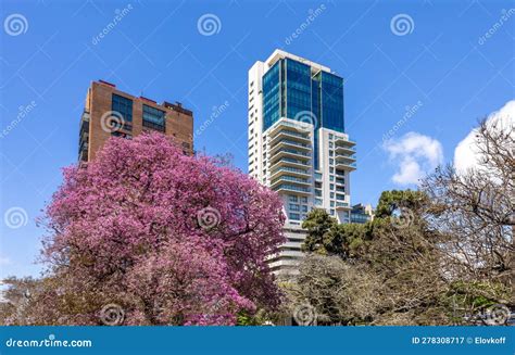 Trendy Neighborhood Palermo In Buenos Aires Upper And Middle Class Residencies And Condominiums