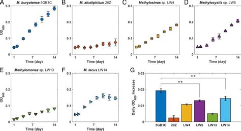 Sylvia Tulloch On Linkedin A Methanotrophic Bacterium To Enable