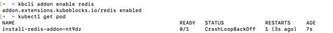 Bug `kbcli Addon Enable Redis` Error Missing Required Field Port · Issue 2470 · Apecloud