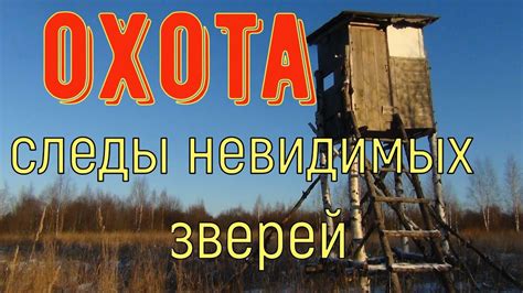 Охота на боровую Следы невидимых зверей охотасдуховымманком Hunterhunter охота Youtube