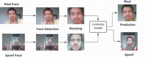 Face Liveness Detection Via Opencv And Tensorflow Kickerai
