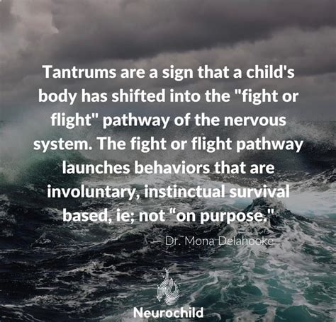 The False Promises Of Constructivist Theories Of Learning Par C A Bowers Couverture Souple