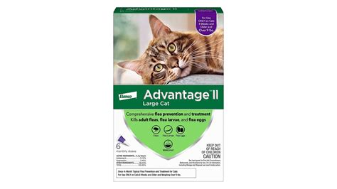 Best Cat Wormer Keep Your Cat Happy Healthy And Worm Free Expert