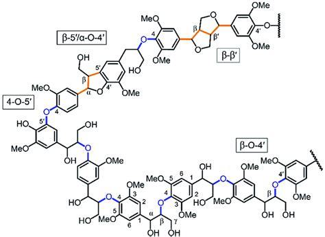 Model Structure Of A Hardwood Lignin With Interunit Ether Linkages
