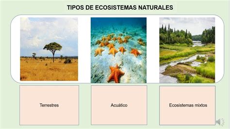 Ecosistema Terrestre Y Acuatico