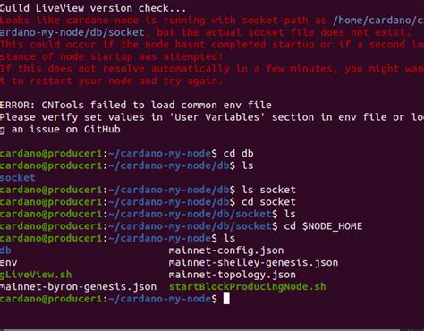Node Socket File Does Not Exist Error When Starting Node Setup A Stake Pool Cardano Forum