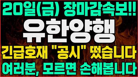 유한양행 주가전망 금 장마감속보 모르면 손해볼 수밖에 또 다시 긴급호재 유한양행 유한양행 주가 유한양행 주가전망 Youtube