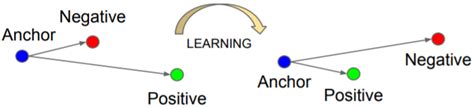pytorch tripletmarginloss 三元损失 pytorch triplet loss csdn博客