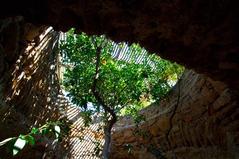 Forestiere Underground Gardens