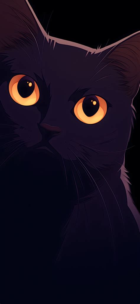 Black Cat Cartoon Wallpapers 4k Hd Backgrounds On Wallpaperbat