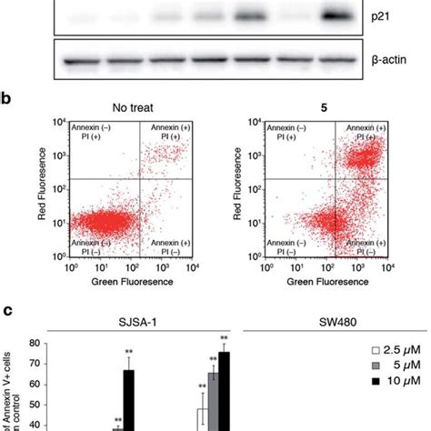 Strategy For Structural Optimization To Improve Binding Affinity And