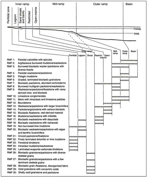 4 Generalized Distribution Of Microfacies Types In Different Parts Of