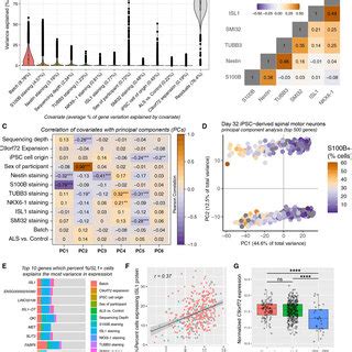 Correlating RNA Seq Data With Covariates Reveals S100B And Sex As Download Scientific Diagram