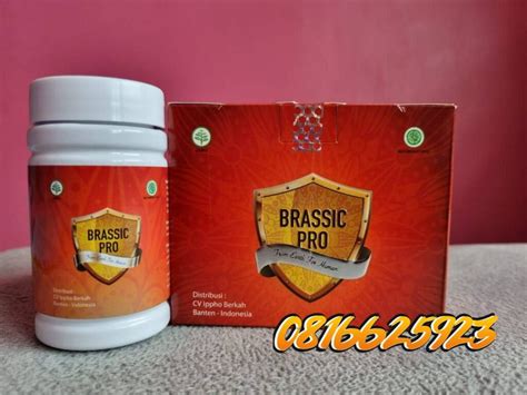 Brassic Pro Cara Mengatasi Pengapuran Best Produk 1