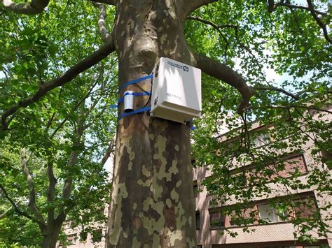 Sap Flow Sensor Department Of Environmental Sciences University Of Basel