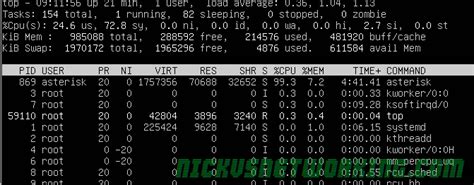 Message Amplification UDP Flooding With SIP Nick Vs Networking