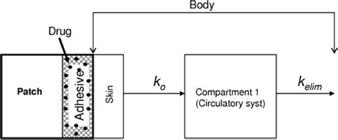 Schematic Representation Of A One Compartment Mathematical Model To Download Scientific Diagram