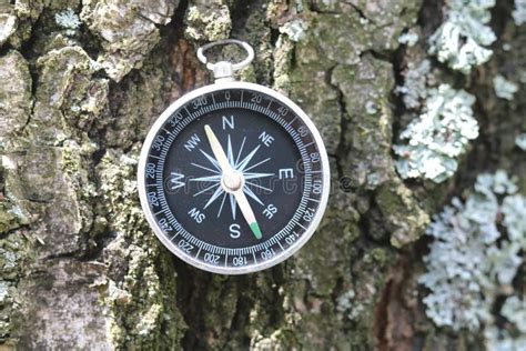 Round Compass On Natural Background Stock Image Image Of Closeup