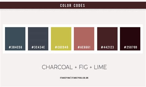 Charcoal Fig And Lime Color Inspiration I Take You Haircuts