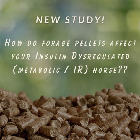 How Do Forage Pellets Affect Insulin Dysregulated Horses Custom