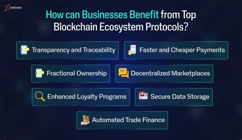Top 10 Blockchain Ecosystem Protocols Of 2024 Popular And Trending