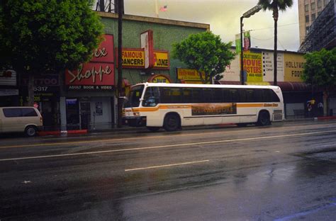 1988 Tmc Rts 06 2157 Photo Credit By The Perspective Owne… Flickr