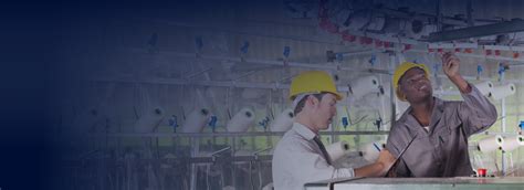 Softline Inspection And Testing Services Gim