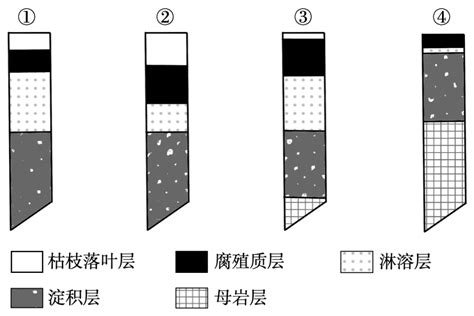 好分数 题库
