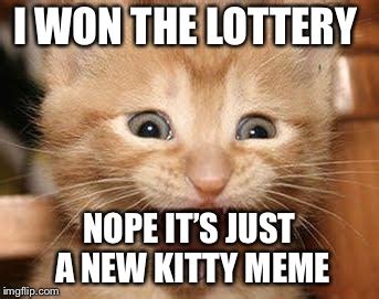 Excited Cat Meme Imgflip