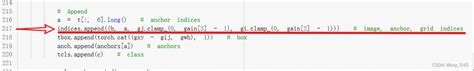 解决Yolov5的RuntimeError result type Float cant be cast to the de 哔哩哔哩