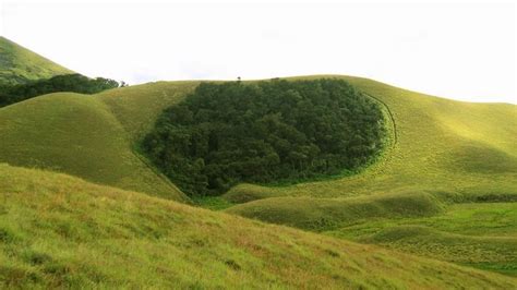 Akkamalai Grass Hills Valparai