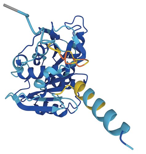 3d protein structure modeling