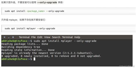 Linux：apt命令apt查看已安装软件包 Csdn博客
