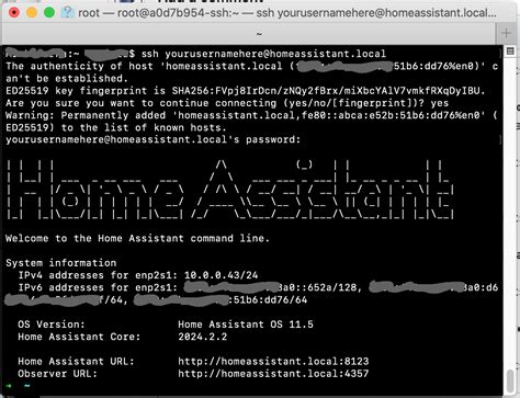 The Missing Quickstart Guide To The Home Assistant Advanced Ssh And Web Terminal Community Add