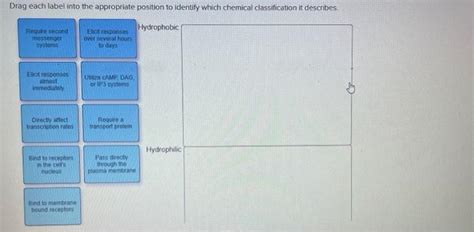 Solved Drag Each Label Into The Appropriate Position To
