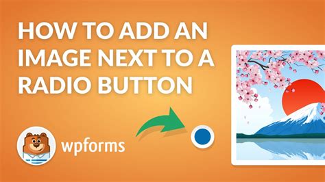 How To Add Radio Buttons With Images To Wordpress Forms