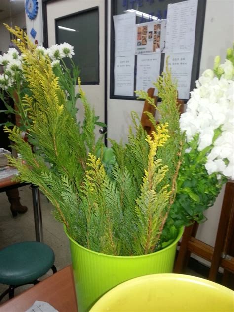 풀잎문화센터 분당지부 분당서현 문화센터 꽃꽂이 배우기분당꽃꽂이학원 분당 문화센터 꽃꽂이 1주차분당 문화센터 서양꽃꽂이 네이버 블로그