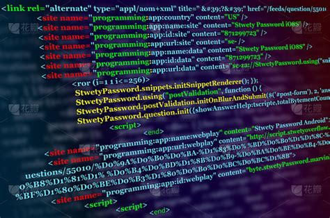 监视器屏幕上的程序源代码。