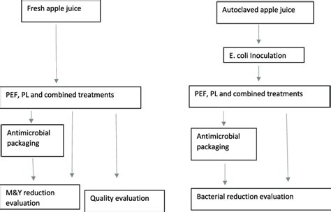 Flow Chart For Experiments Download Scientific Diagram