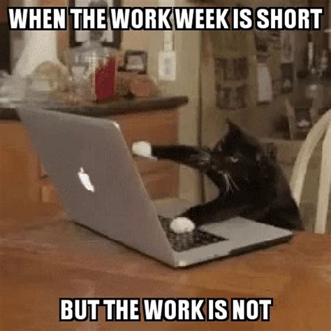Memes About Work Week