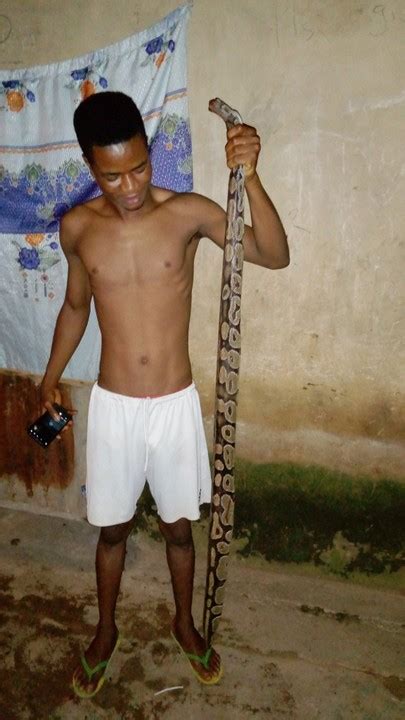 Huge 5ft Python Killed By My Neighbour Pics Jokes Etc Nigeria