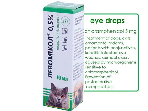 Chloramphenicol Eye Drops For Cats Side Effects At Ronald Alvarez Blog