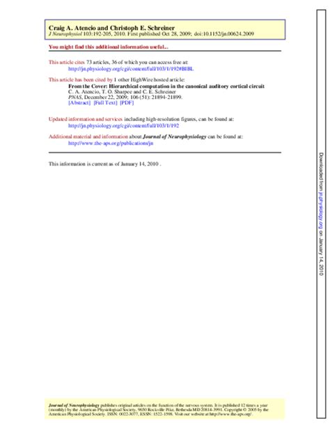 Pdf Laminar Diversity Of Dynamic Sound Processing In Cat Primary Auditory Cortex