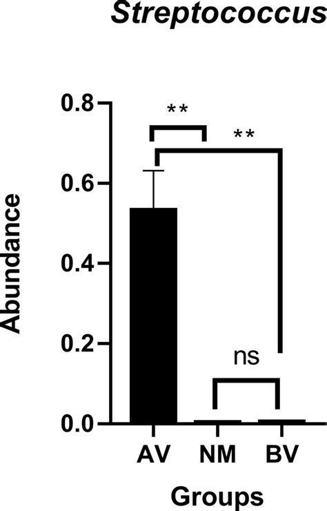 The Pathogenesis Of Streptococcus Anginosus In Aerobic Vaginitis Pmc