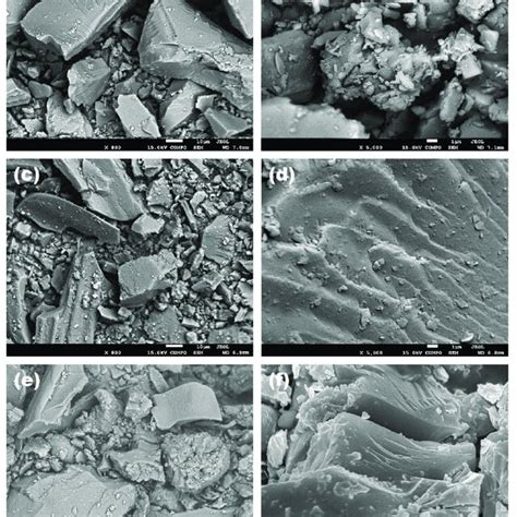 The Surface Morphological Characteristics Of The Sem Pore Fracture