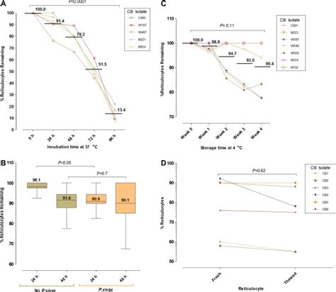 Reticulocyte Storage And Maturation Reticulocytes Were Identified By