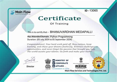 Mainflow Internship Success Learning Growth Careergoals Intern