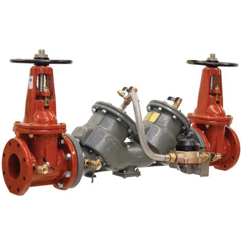 What Is A Double Check Detector Assembly At Douglas Byrd Blog