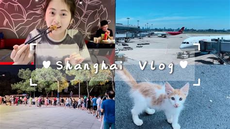 Shanghai Vlog 상하이 브이로그 뿌니의 돼지뇌 먹방 중국요리 길냥이 귀요미 스케이트보드 수업 출장준비 상해
