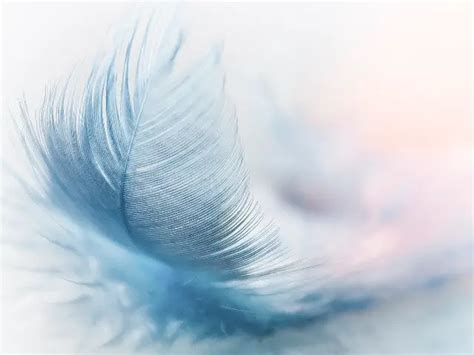 how to create a lightbox using jquery and featherlight gavsblog